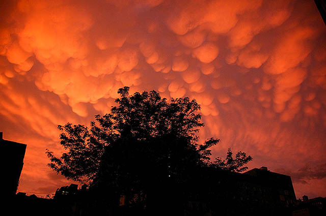 Mammatus Clouds Forever : More Photos Of The Bumpy Clouds - Gothamist
