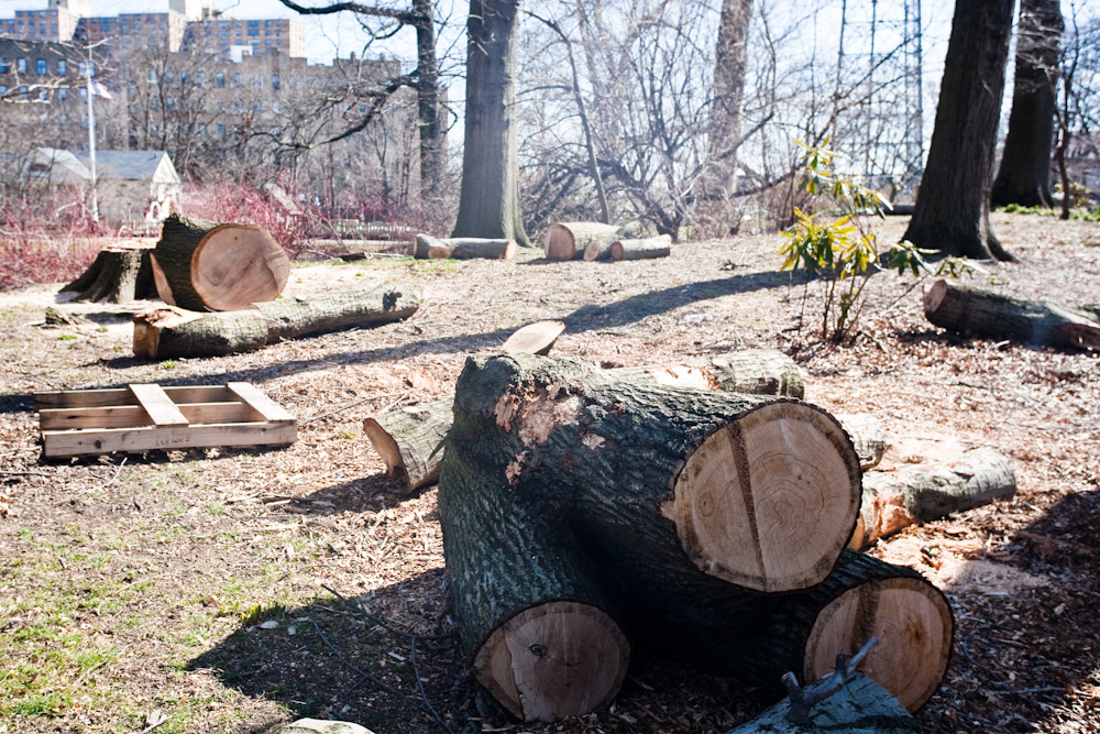 Photos: Worst "Treehouse" Ever Opens At Brooklyn Botanic Garden This ...