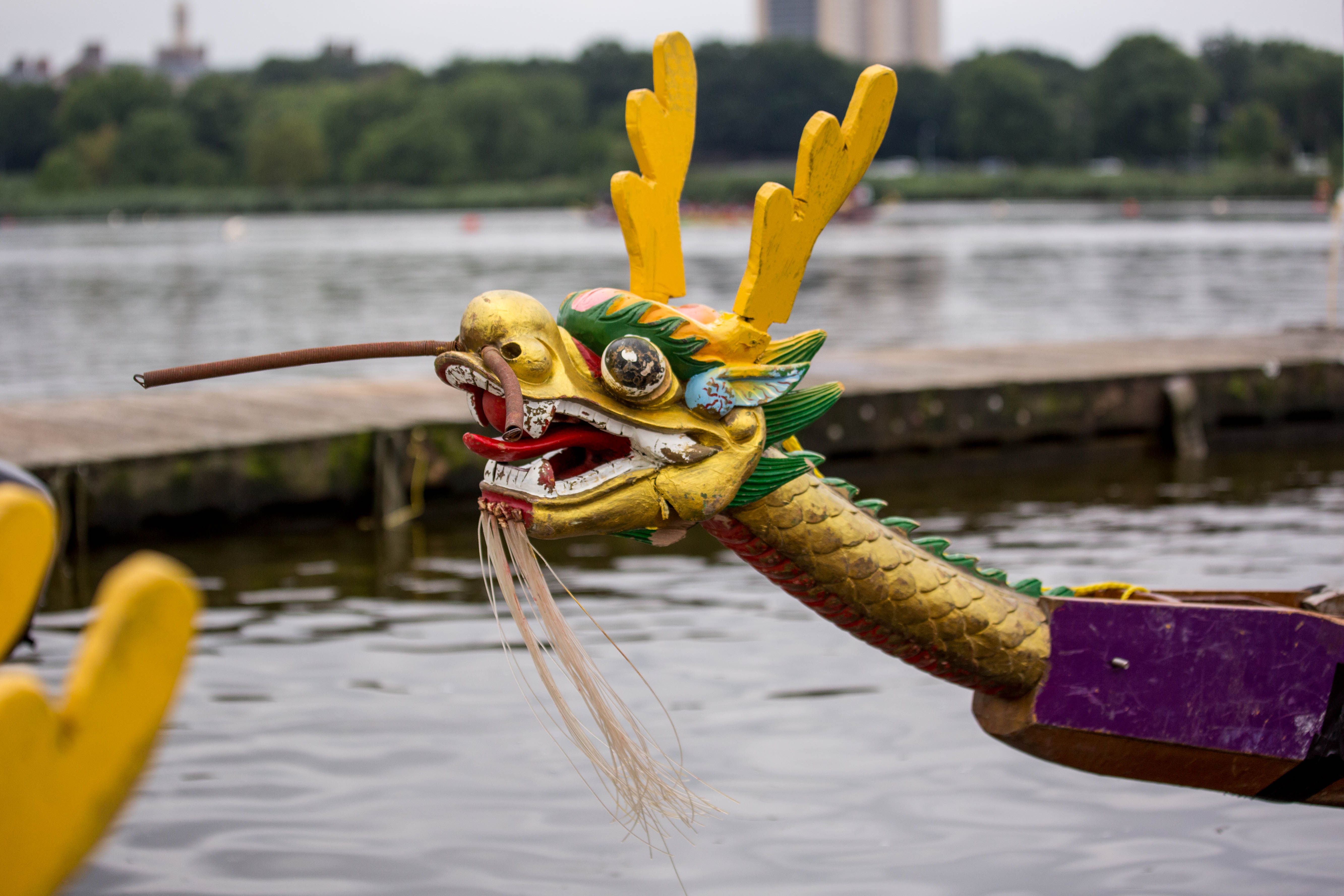 Photos: Thousands Of Dragon Boat Racers Churn The Water In Queens ...