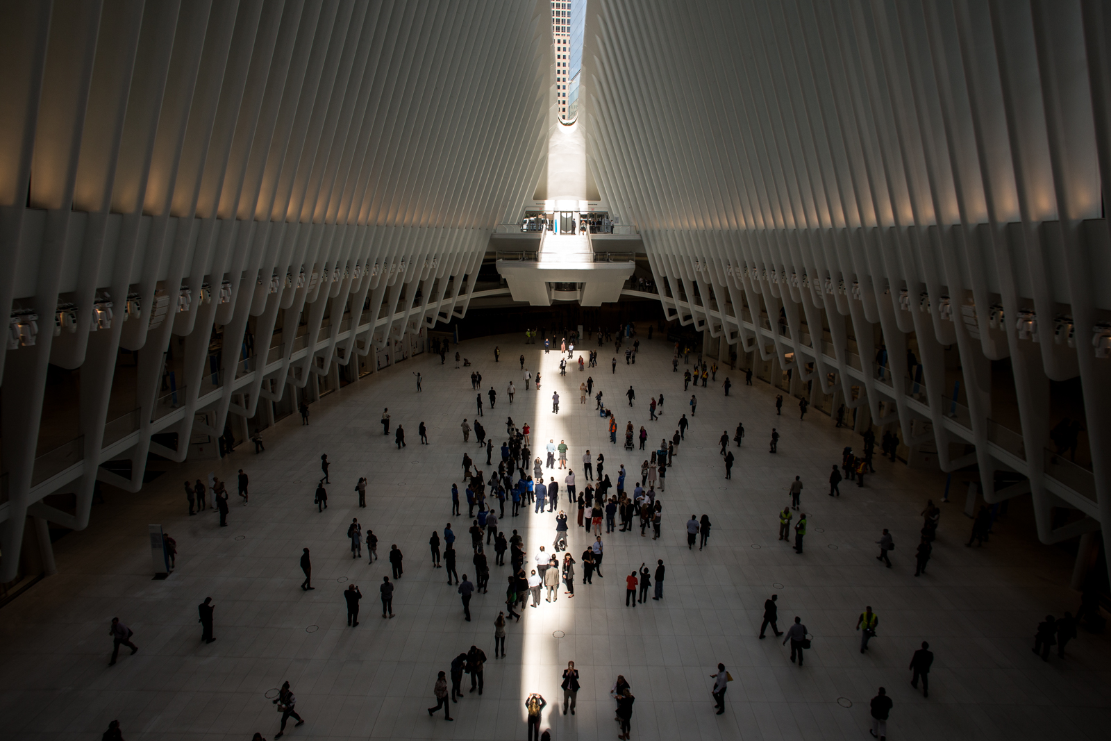 Photos: WTC Transportation Hub Oculus Roof Opens On 9/11 - Gothamist