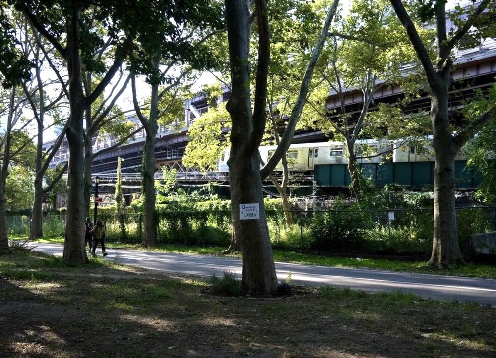 A "Guerrilla Garden" Is Growing In NYCHA's Queensbridge Houses | Gothamist