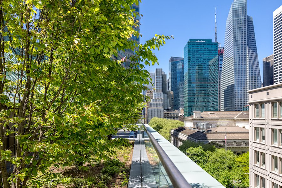 NYC's Libraries Are Reopening This Month | Gothamist