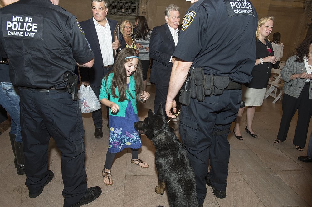 Photos, Video: Eight Awesome Dogs Join The MTA Police K9 Unit | Gothamist