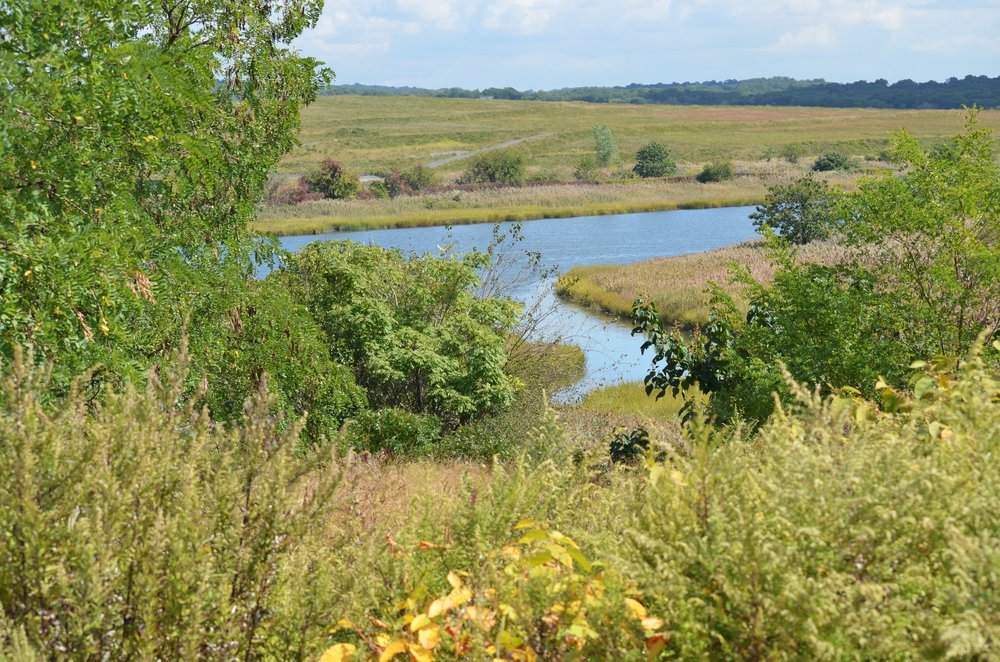 Photos: Today Only, Get An Early Look At Freshkills Park's Cool Transformation | Gothamist