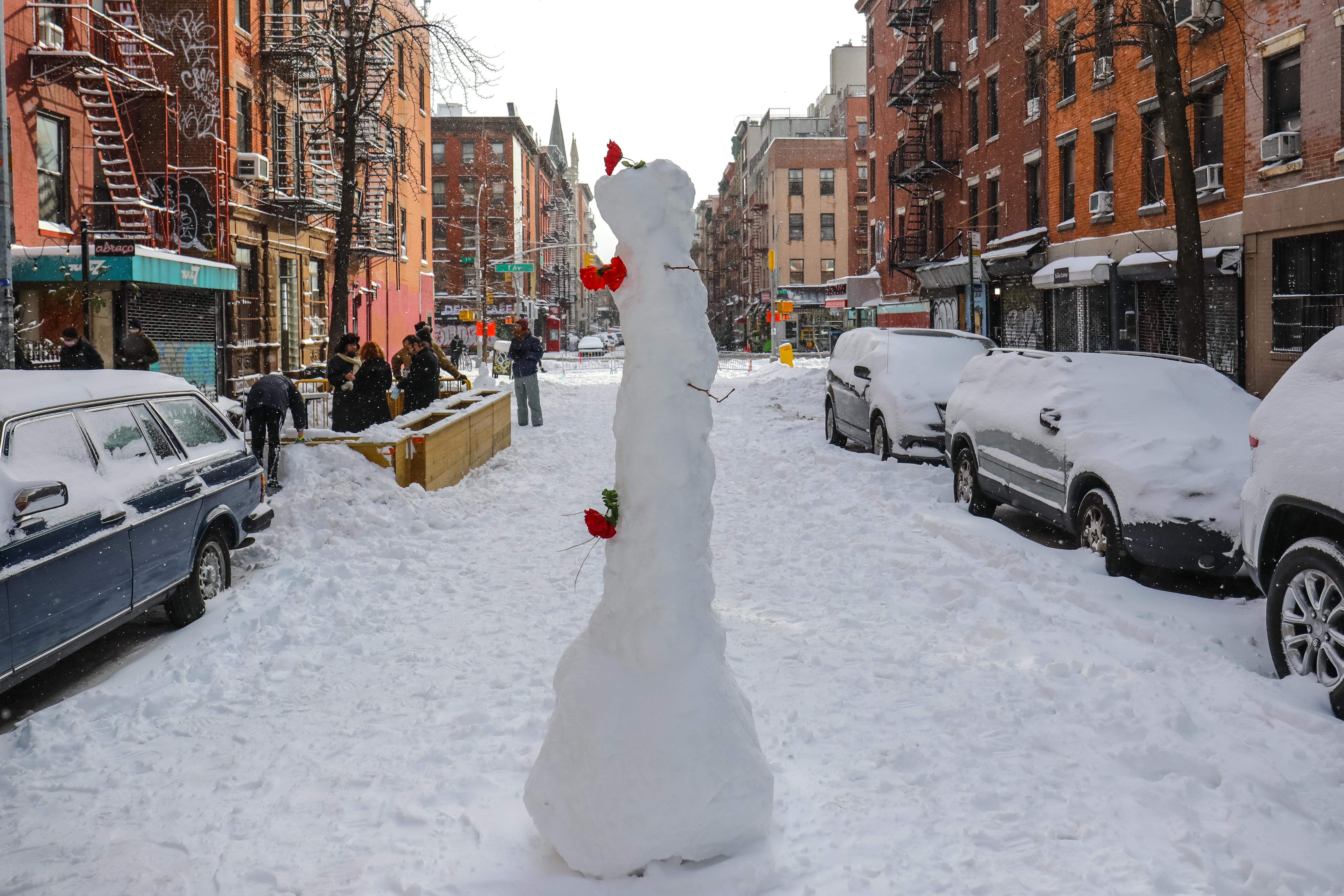 Snow on Dec 17, 2020 - Gothamist