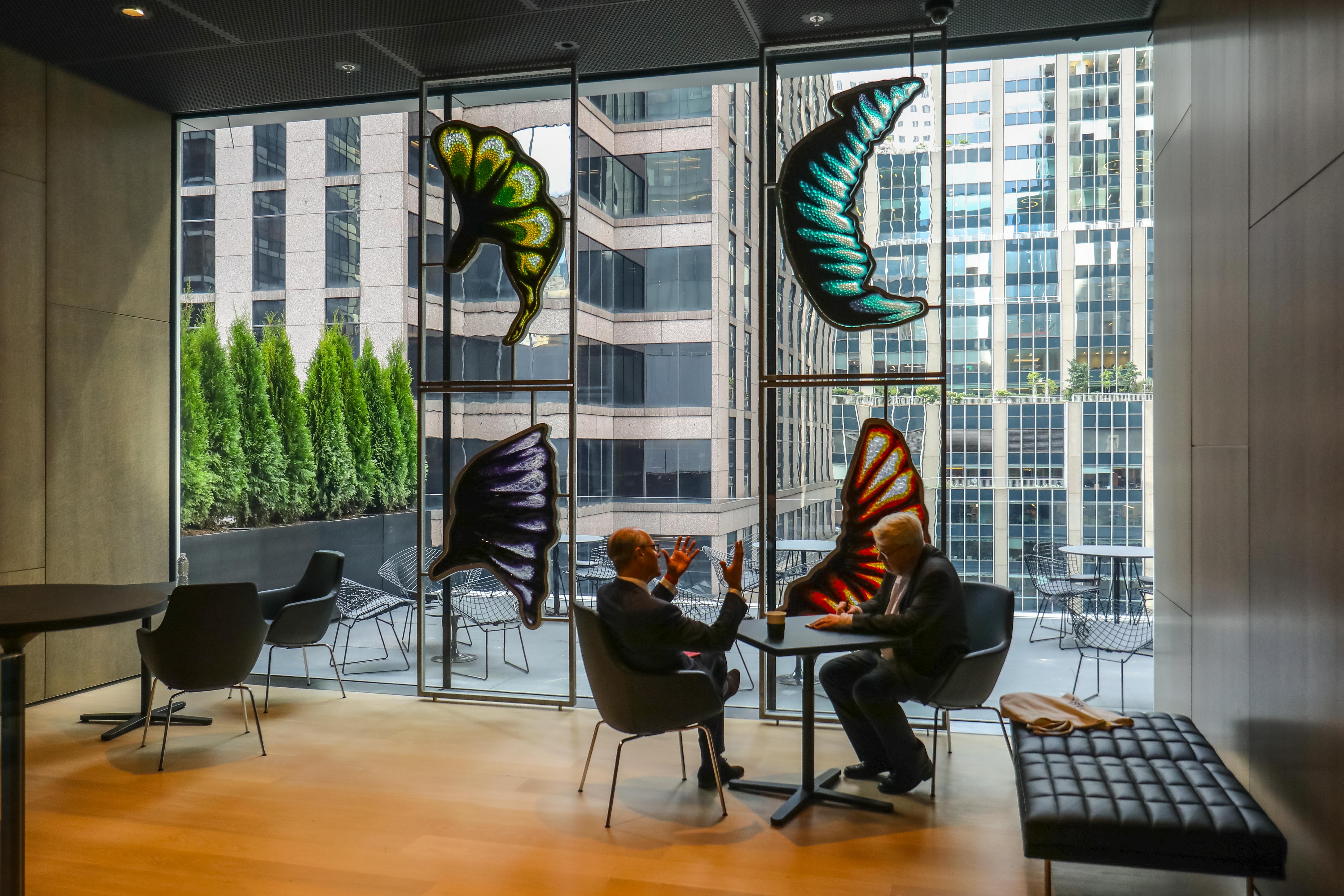 new MoMA - Gothamist