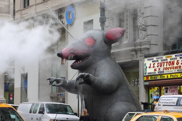 Happy Birthday, Inflatable Union Rat! - Gothamist