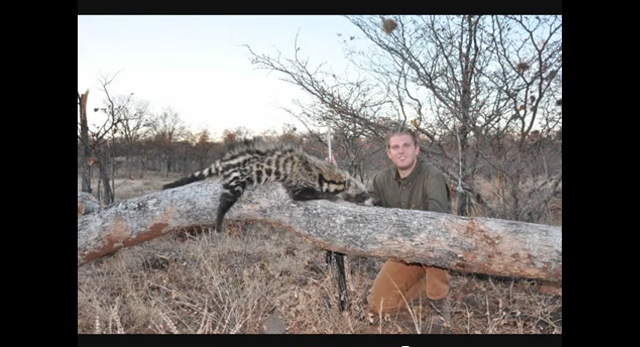 Photos: Donald Trump's Sons Awesome At Killing Elephants And Other ...